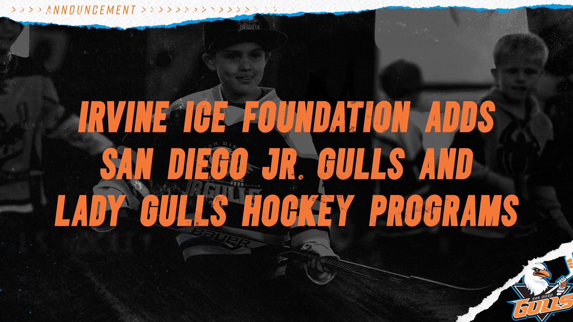 Irvine Ice Foundation Adds San Diego Jr. Gulls and Lady Gulls Hockey ...