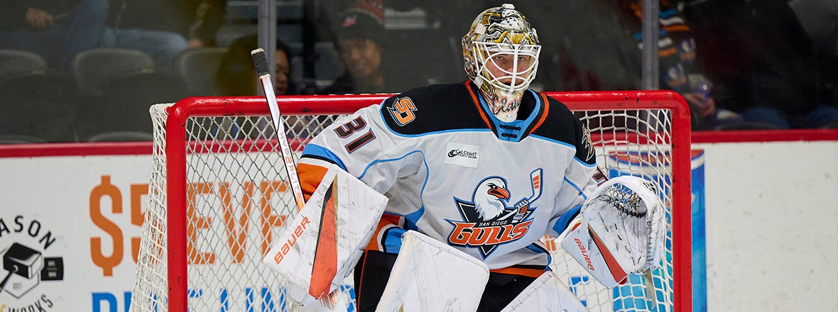 Calle Clang | San Diego Gulls