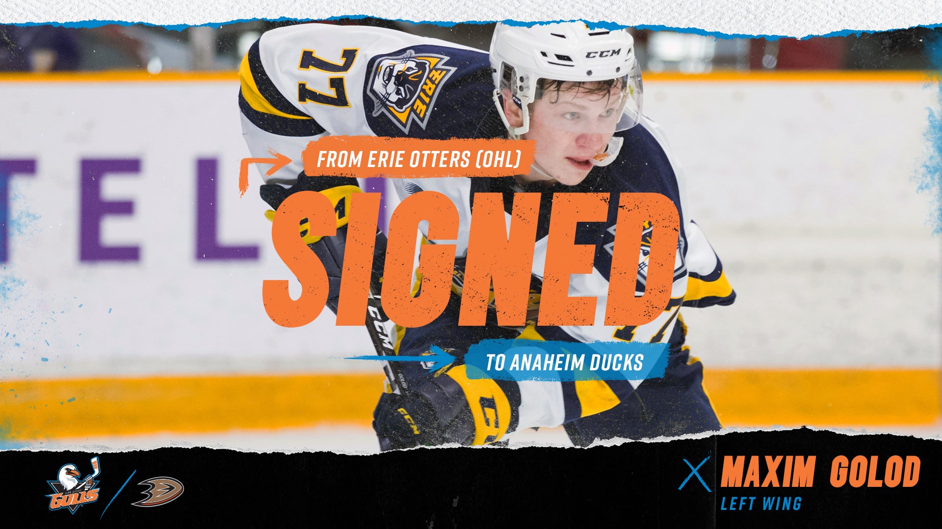 Ducks Sign Maxim Golod to Entry-Level Contract | San Diego Gulls