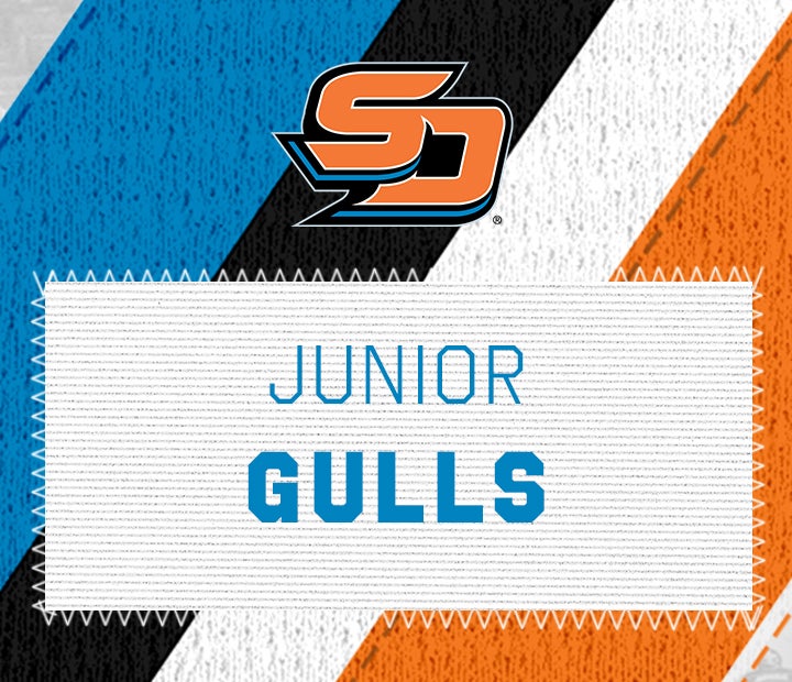 San Diego Gulls Ticket Information | San Diego Gulls