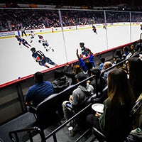 Gulls Elite Membership Experiences | San Diego Gulls
